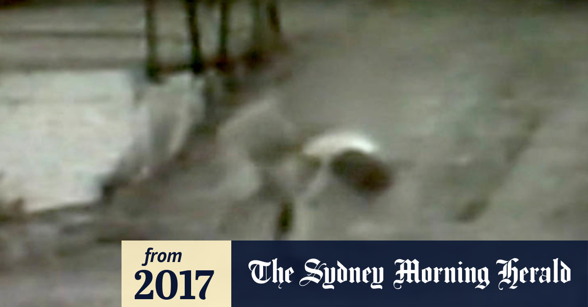 Video Two Women Assaulted In Sydney Attacks